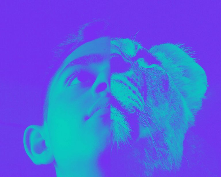 Careers - PHD Intelligence. Connected.